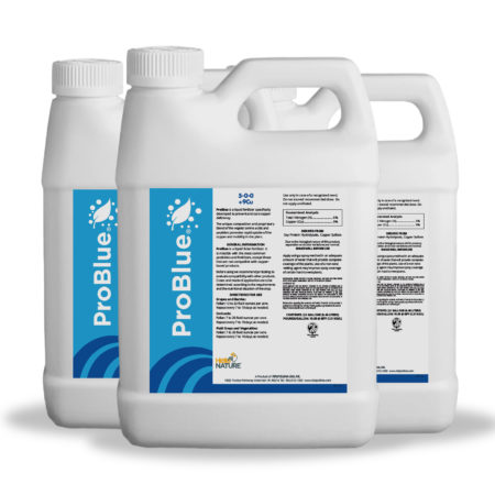 KeyLan Fe - Hello Nature