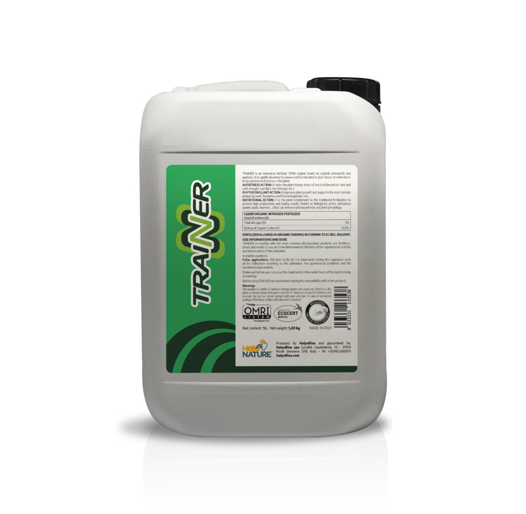 Trainer - Hello Nature