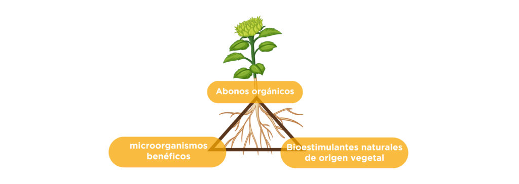 Fertilización Del Suelo - Hello Nature