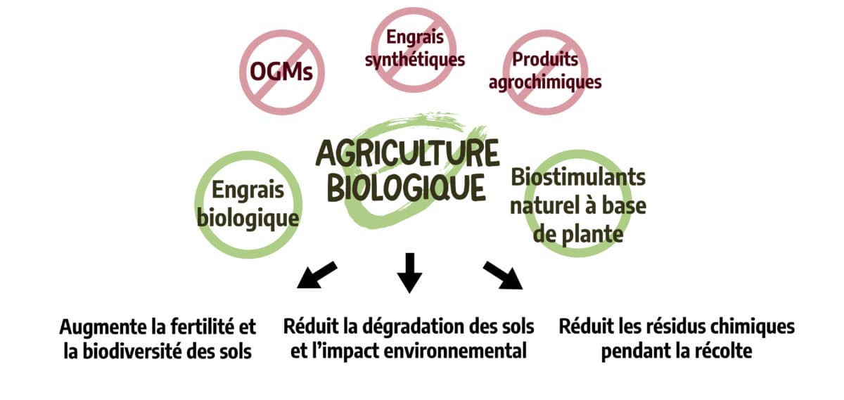 Agriculture biologique - Hello Nature Agriculture biologique - Hello Nature