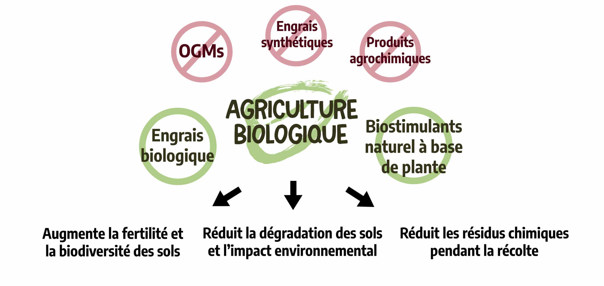 Agriculture biologique - Hello Nature Agriculture biologique - Hello Nature