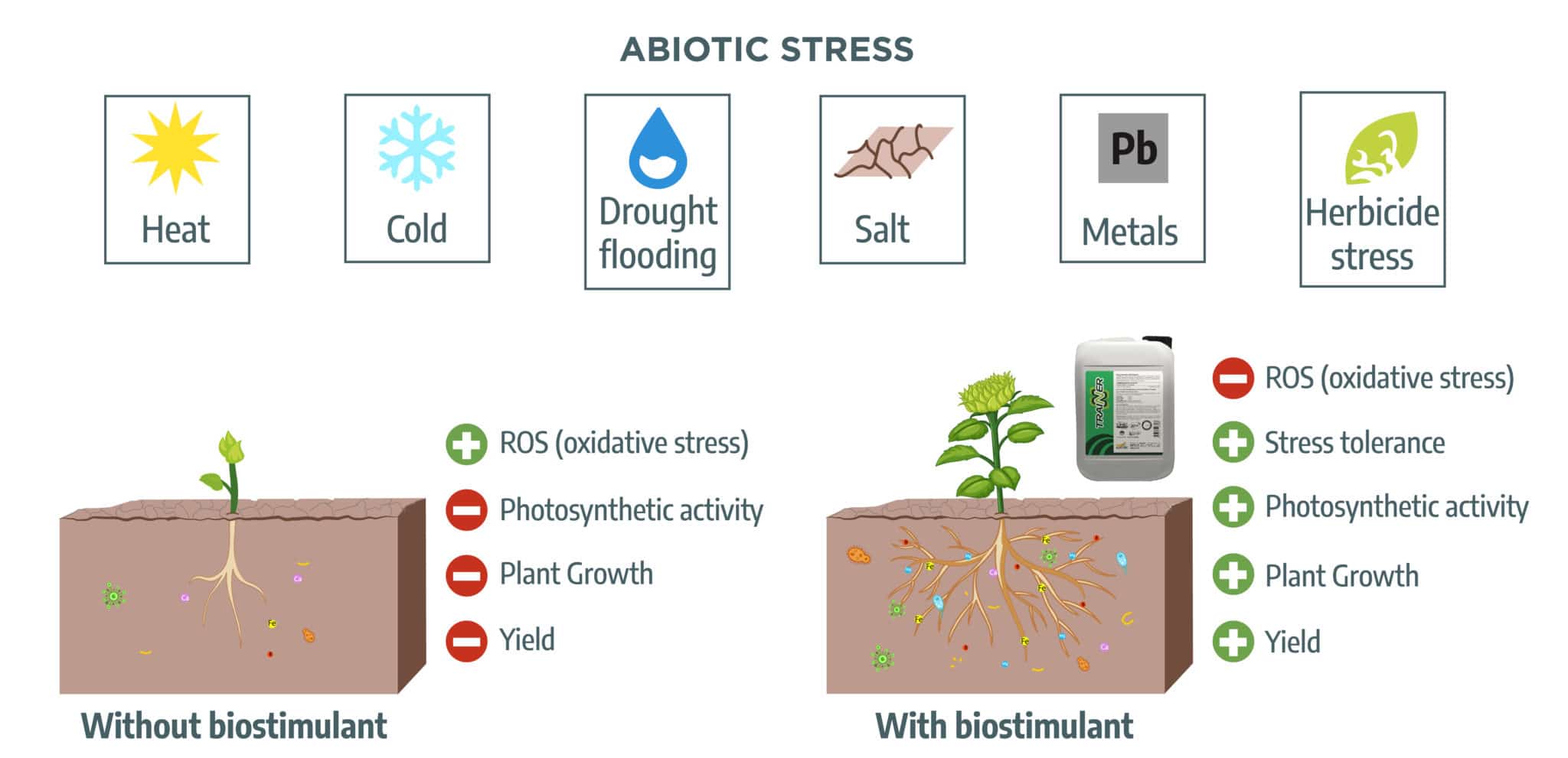 Antistress - Hello Nature