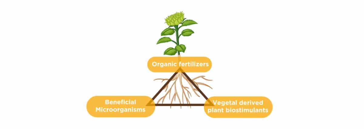 Soil Fertilization - Hello Nature